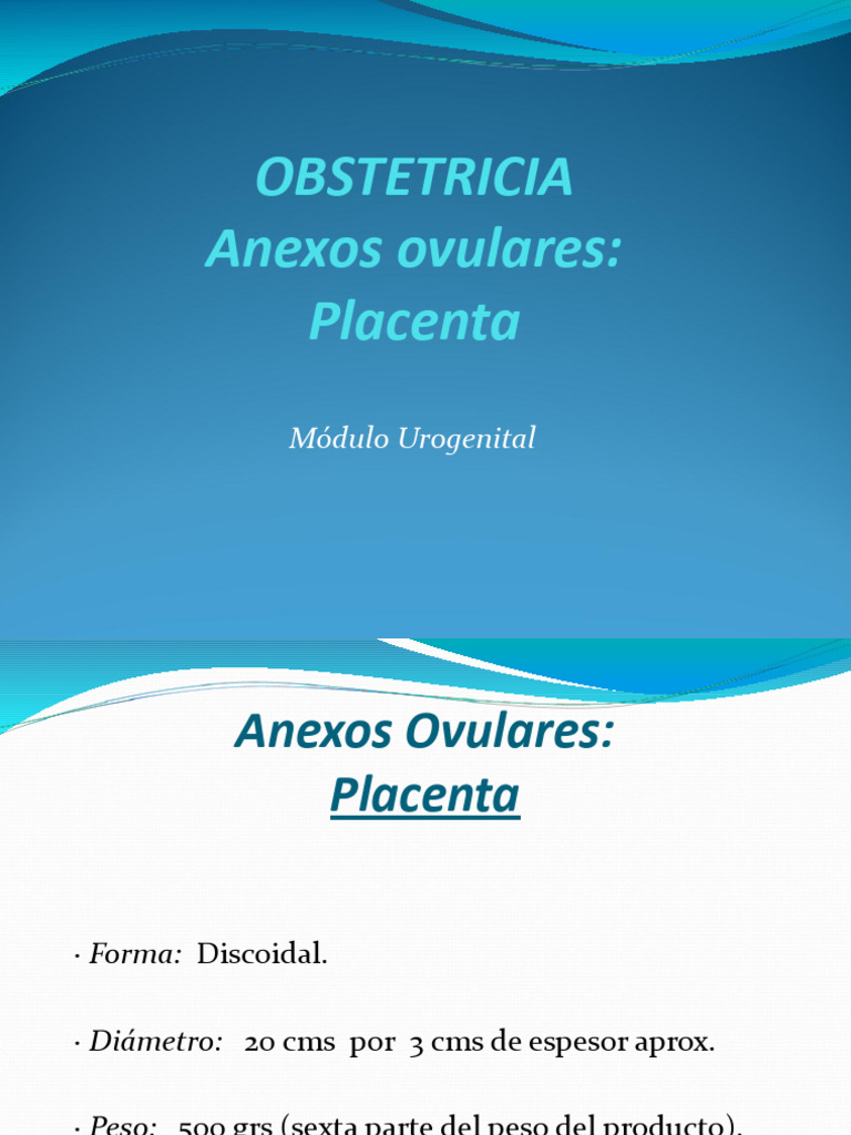 Obst 1.5.1 A 1.5.6 Placenta y Circ. Fetoplacentaria | PDF | Placenta | Feto