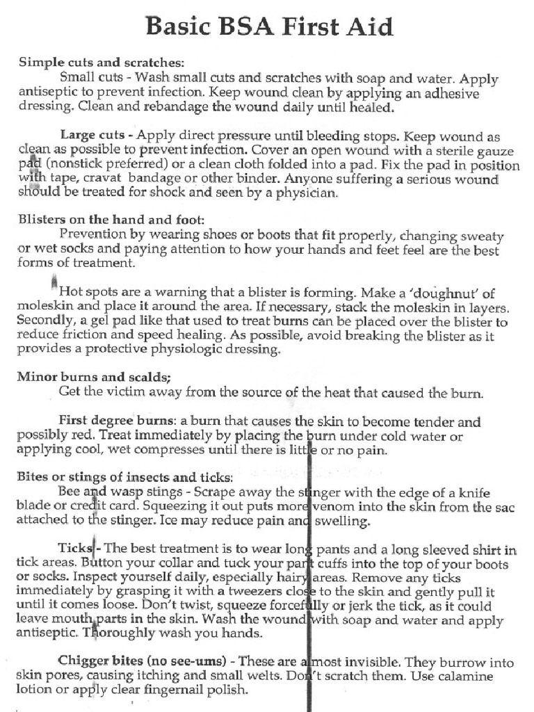 Basic BSA First Aid | PDF