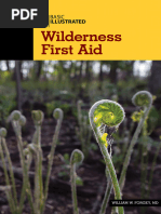 New SCP Anomaly Classification System | PDF