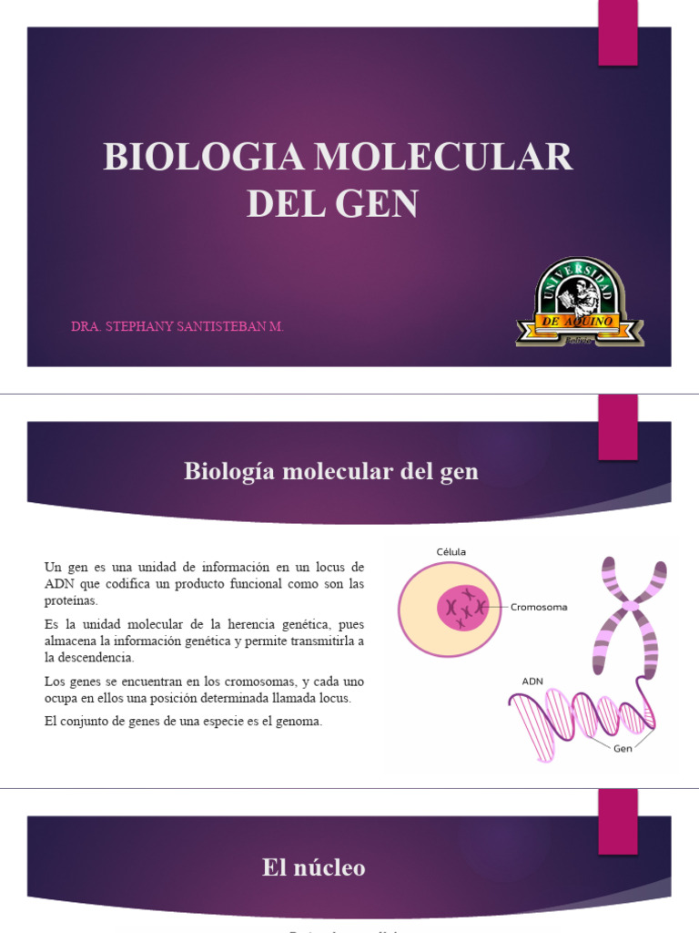 Biologia Molecular Del Gen - Embriologia | PDF | Adn | Gene