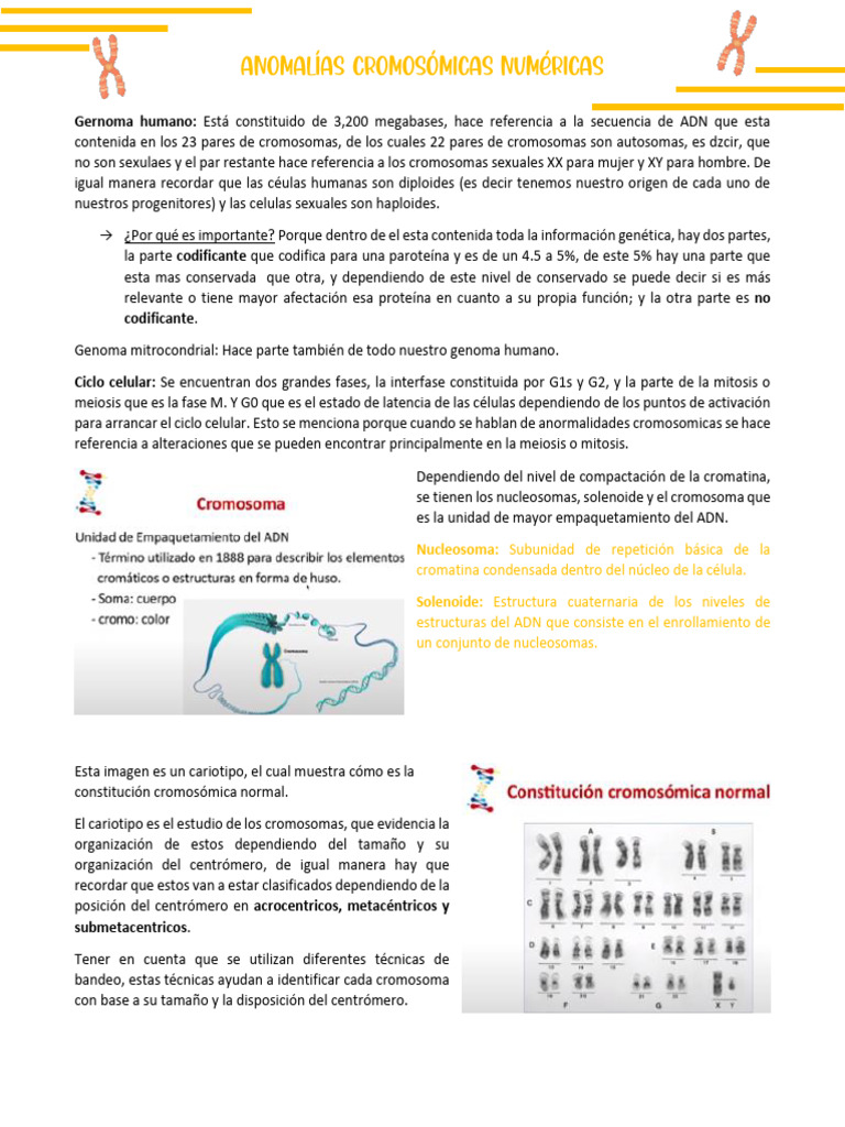 Anomalías Cromosómicas Numéricas | PDF | Cromosoma | Cariotipo