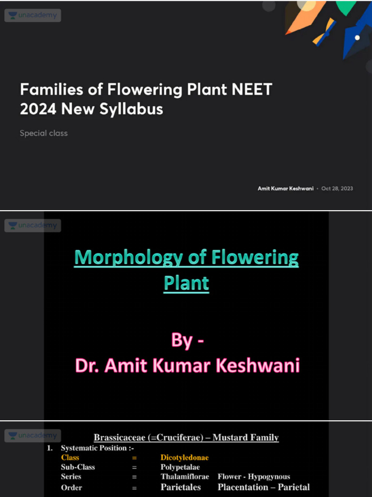 Families of Flowering Plant NEET 2024 New Syllabus No Anno | PDF