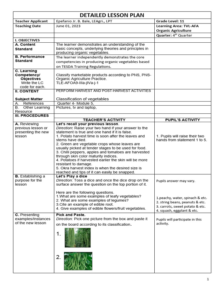 Organic Vegetable Production Lesson Plan | PDF | Vegetables | Onion