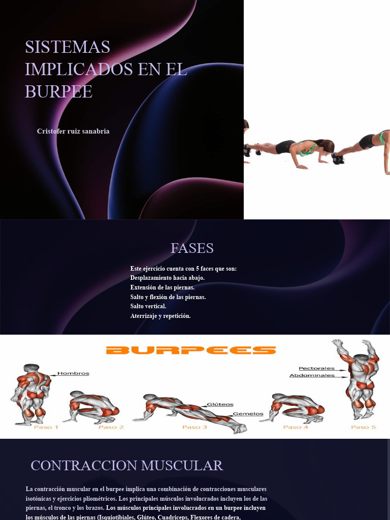 Muscle-Contraction-in-the-Burpee 11 | PDF | Músculo | Contracción muscular