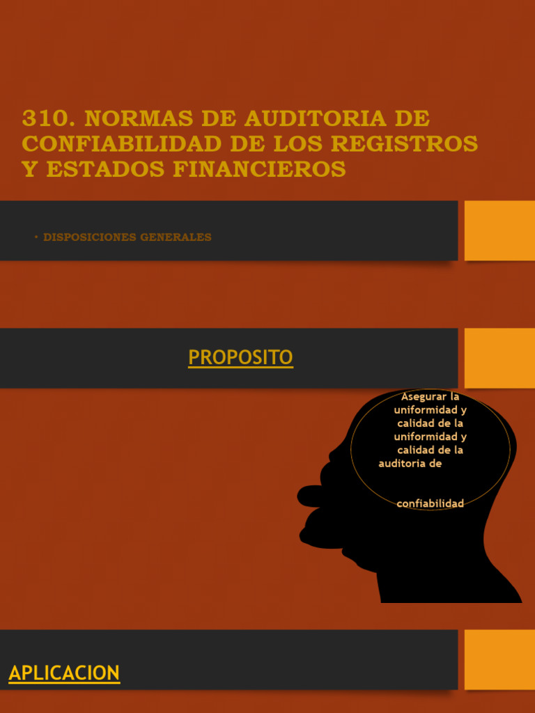 Normas de Auditoría de Confiabilidad | PDF | Auditoría | Estado financiero