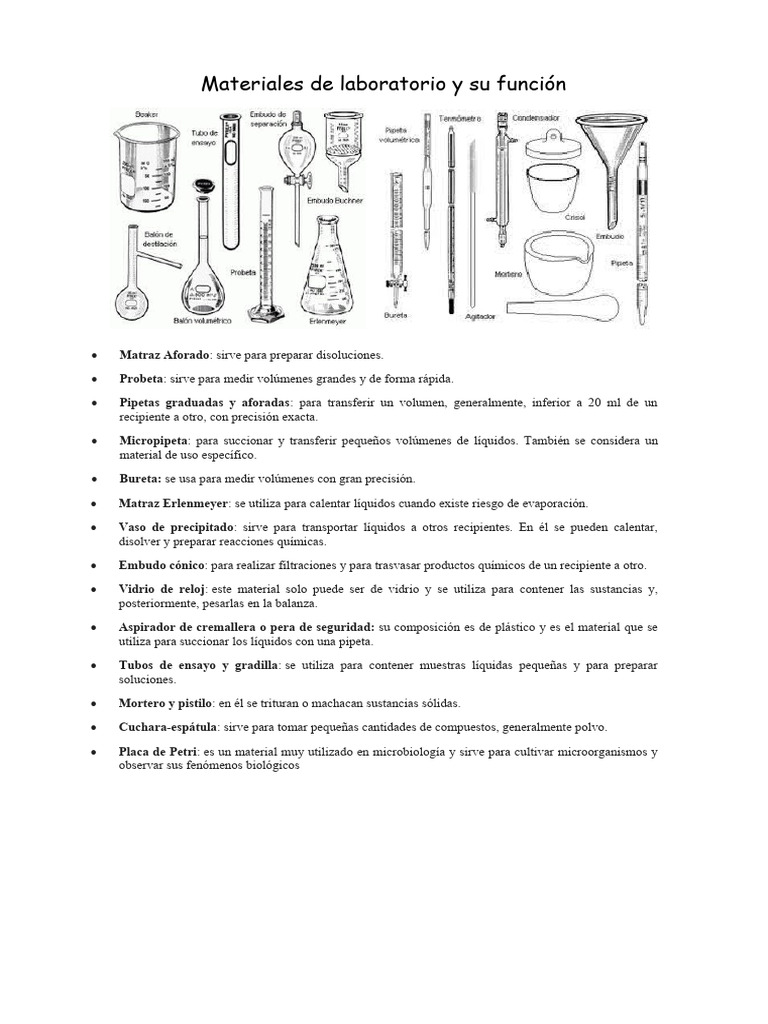 Ficha de Aprendizaje Materiales de Laboratorio y Microscopio | PDF | Radiación electromagnética ...