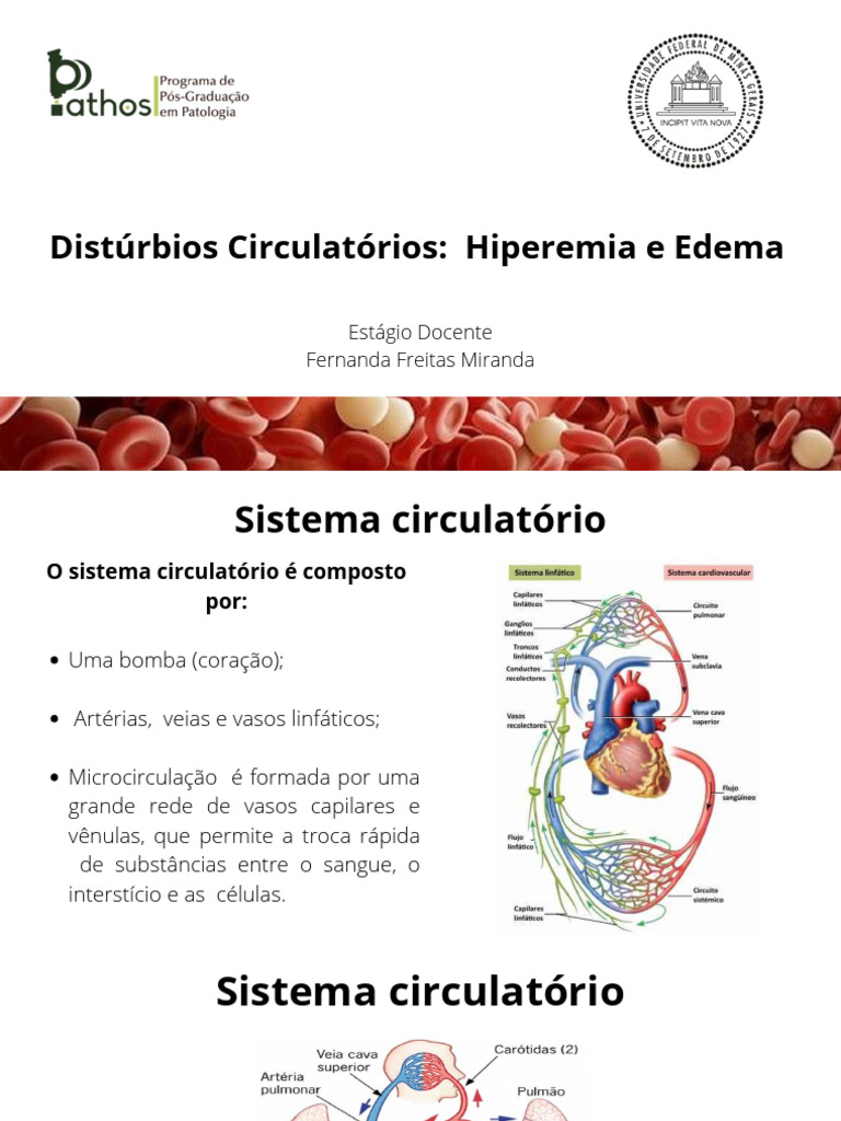 Distúrbios Circulatórios: Hiperemia e Edema | PDF | Edema | Sistema ...