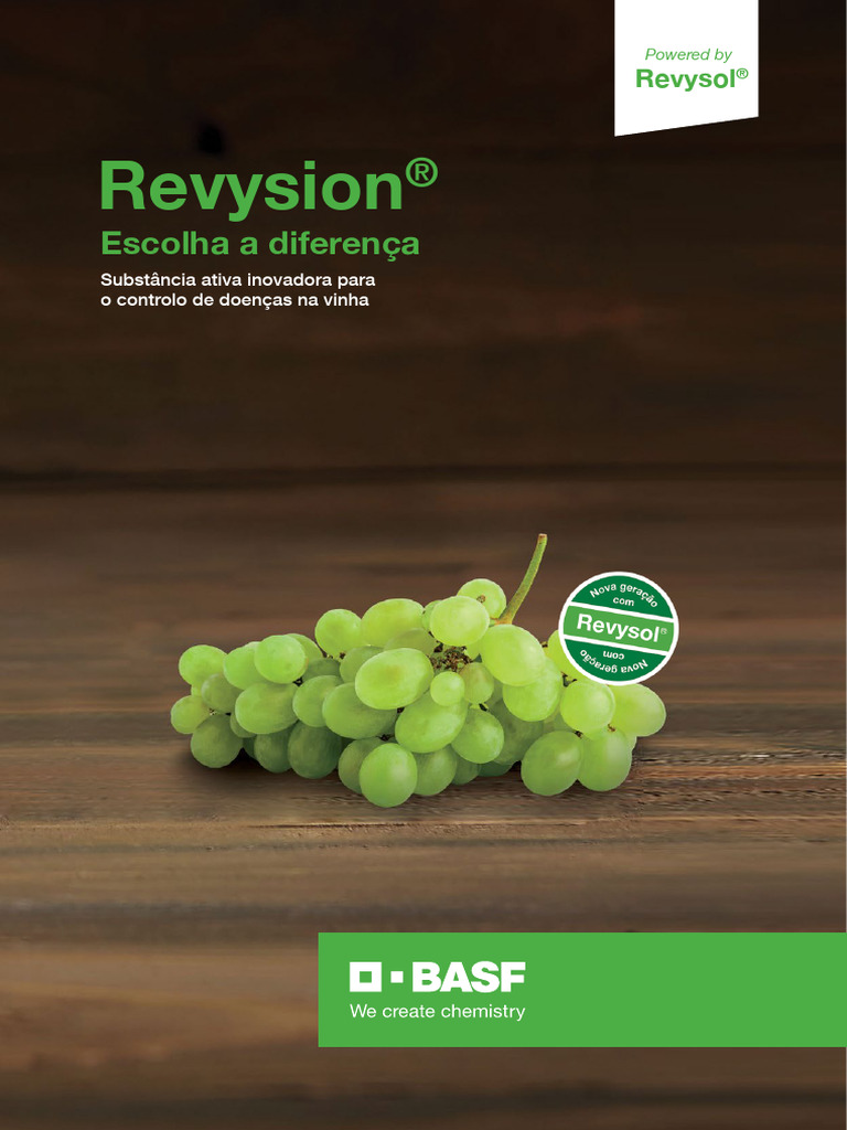 BASF RevysionVinha Triptico Digital | PDF