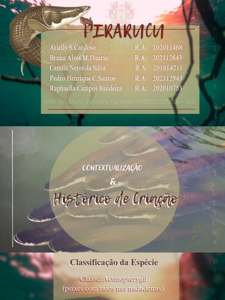 Pirarucu: Características e Manejo | PDF | Peixes