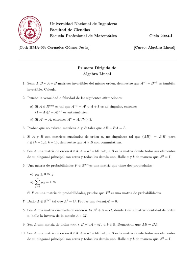 Practica Dirigida 1 | PDF | Matriz (Matemáticas) | Determinante