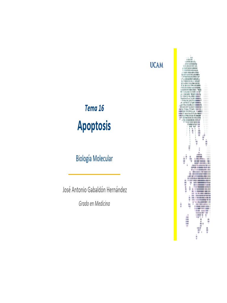 Tema 16. Apoptosis | PDF | Apoptosis | Caspasa
