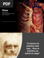 Anatomía Del Tórax | PDF | Tórax | Anatomía humana