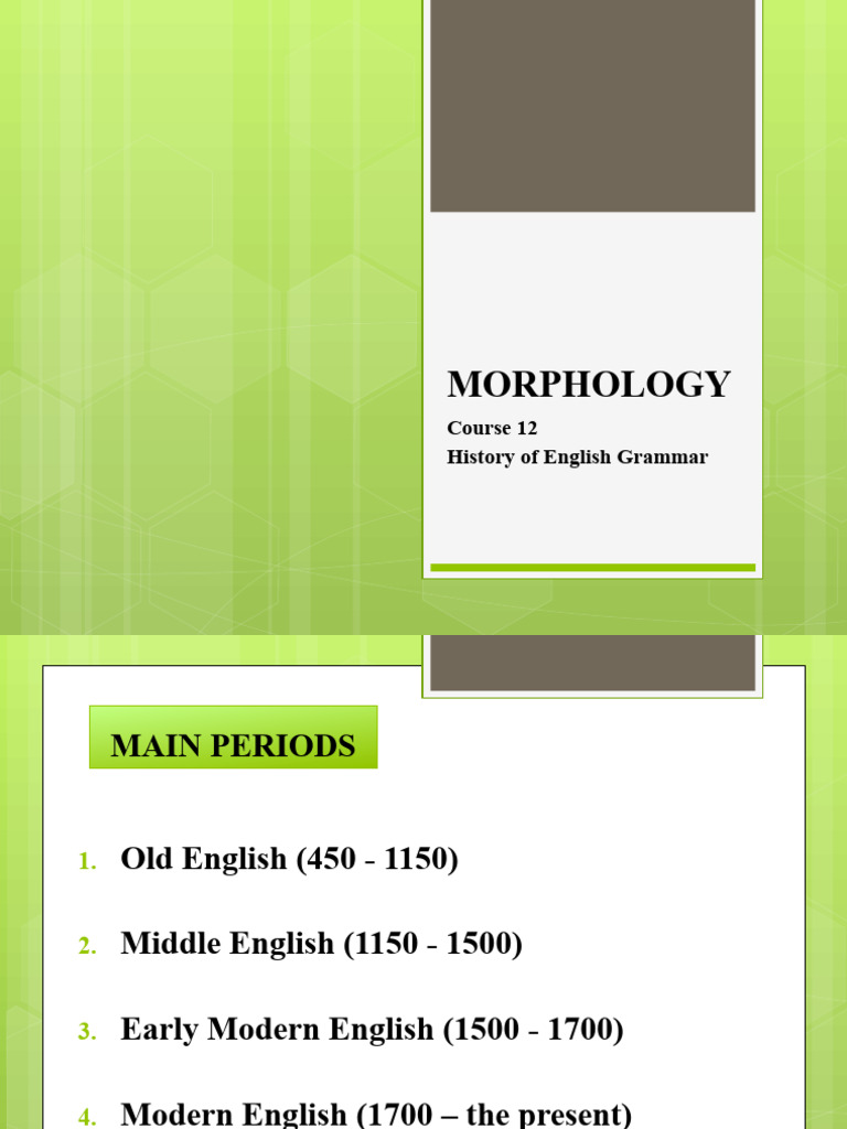 MORPHOLOGY Course 12 | PDF | English Language | Grammatical Gender