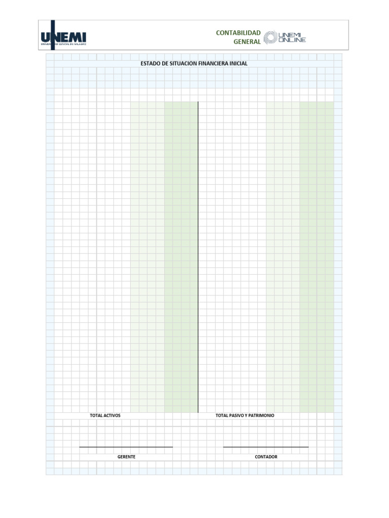 Estado de Situación Financiera Inicial | PDF | Finanzas y administración del dinero | Derecho