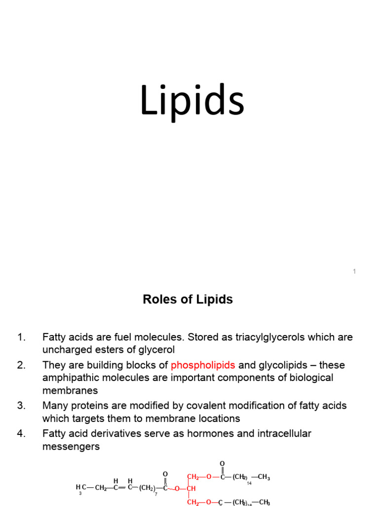 Understanding Lipids | PDF | Lipid | Fatty Acid