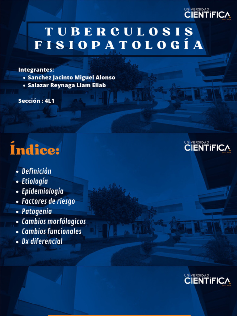 TBC Fisiopatología | PDF | Tuberculosis | Salud pública