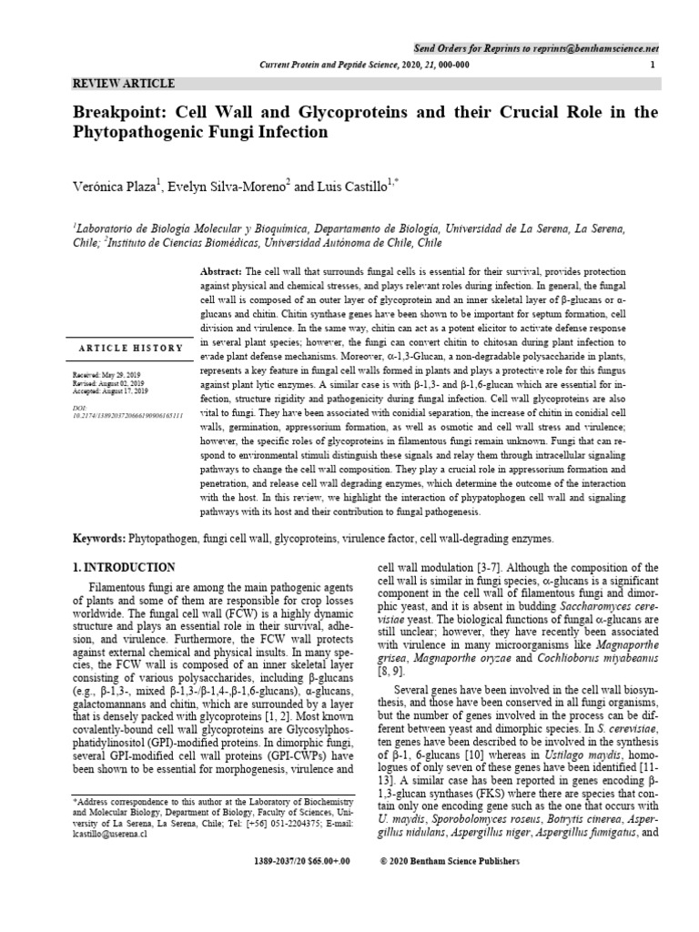 Castillo MSfinal | PDF | Fungus | Cell Wall
