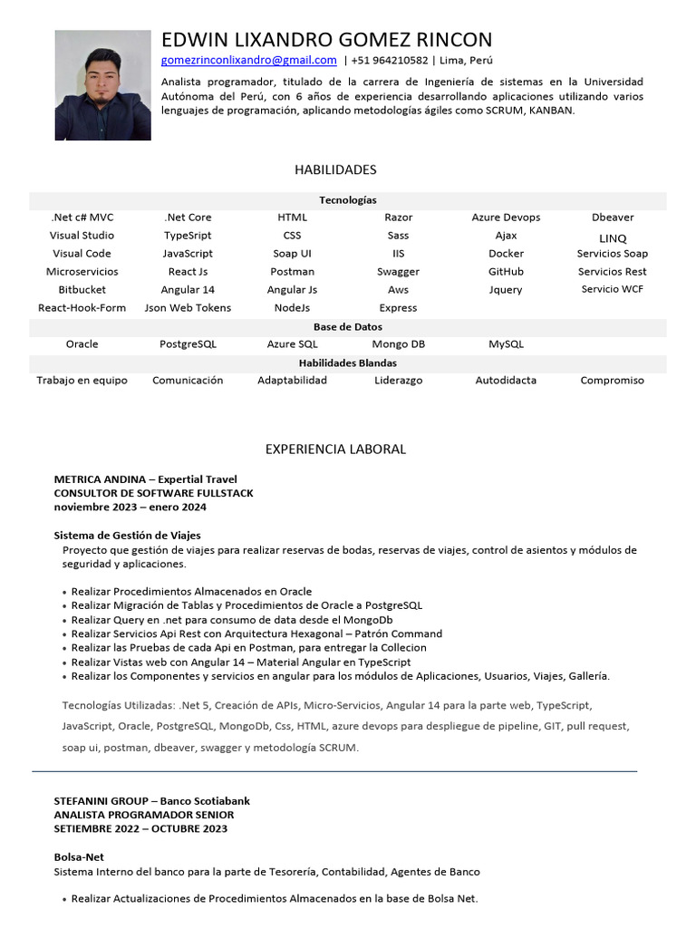 Perfil de Analista Programador Fullstack | PDF | Servidor SQL de Microsoft | .NET Framework