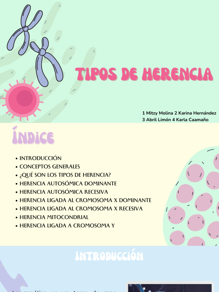Tipos de Herencia | PDF | Dominancia (Genética) | Herencia