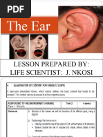 3 Life Sciences Grade 12 EAR STRUCTURE AND FUNCTION | PDF | Ear | Hearing