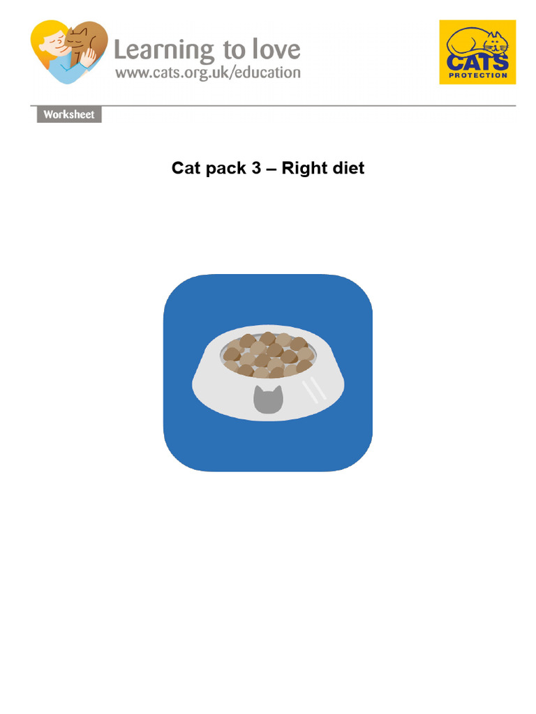 Crafty Cats: Maths and Activities | PDF | Cats | Biscuit