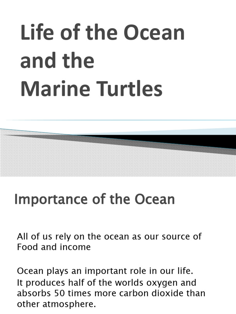 Turtle Conservation | PDF | Sea Turtle | Coral Reef