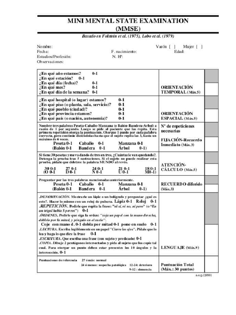 Mini Mental Pdf