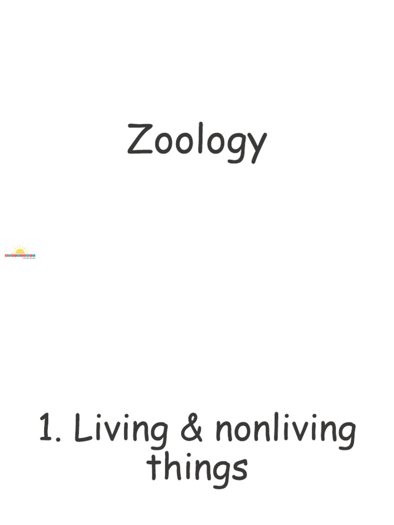 Paper Craft Dice | PDF