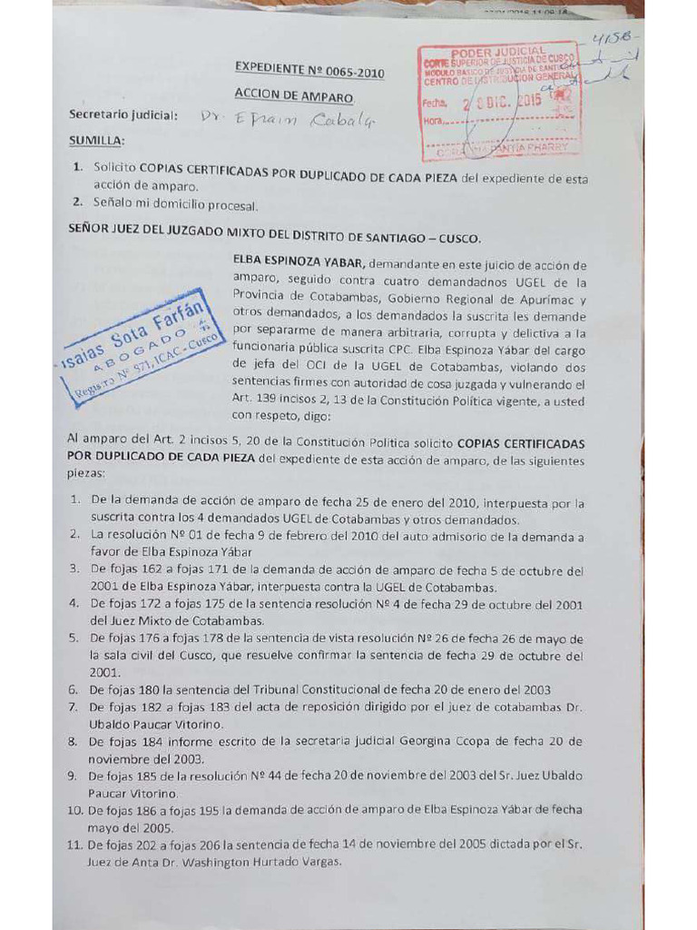 Accion De Amparo Pdf