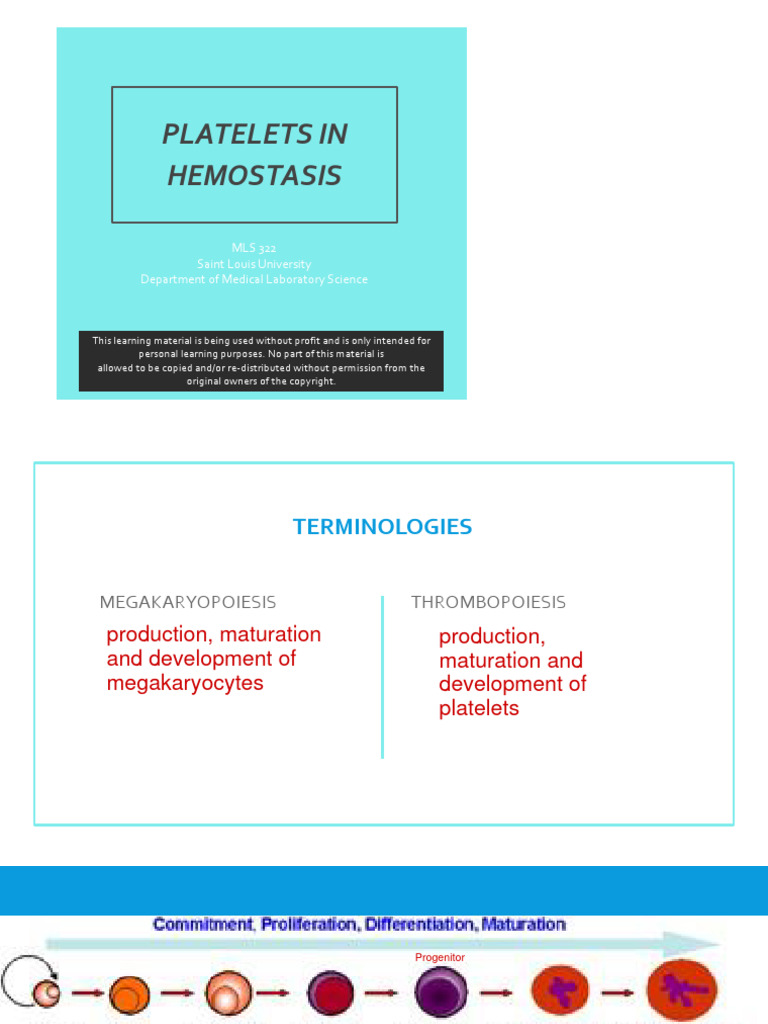 MLS 322 INTRO TO HEMOSTASIS STUDENT COPY - Megakaryopoeisis | PDF | Platelet | Mitosis