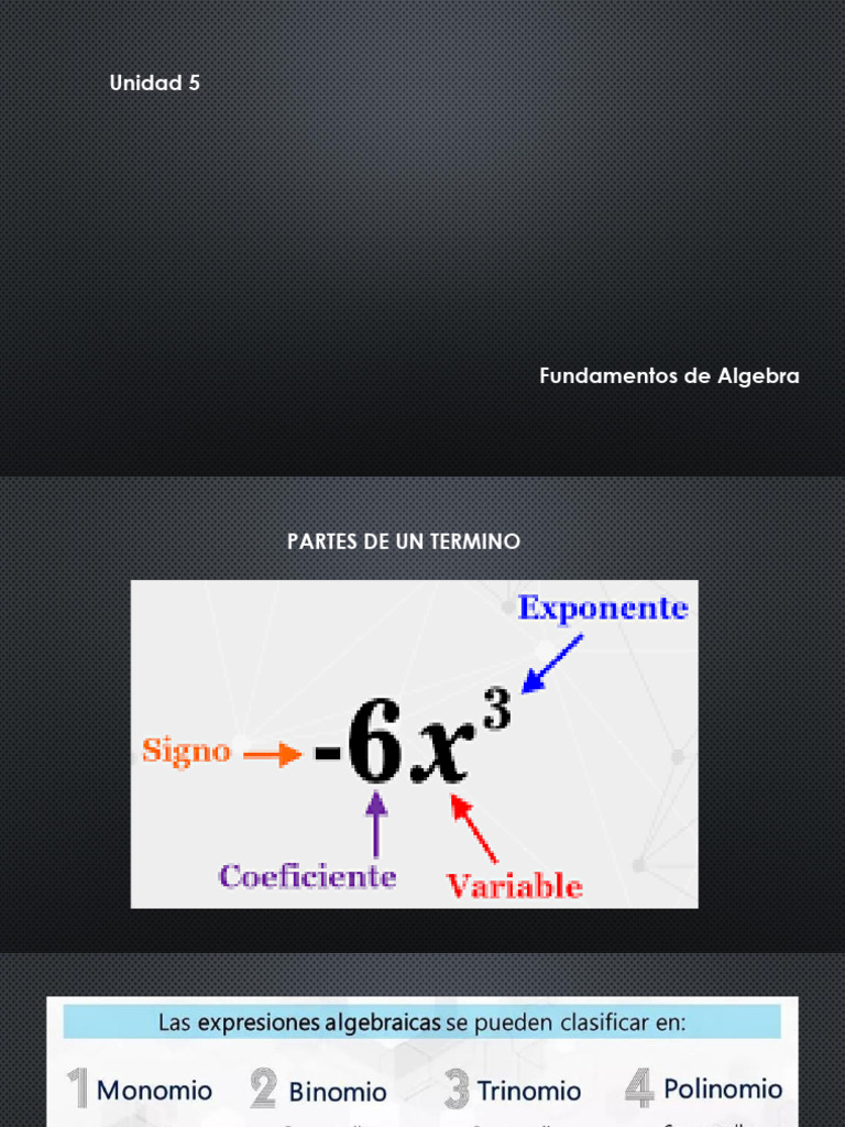 Tema 5 Fundamentos Del Algebra. | PDF | Matemáticas | Álgebra