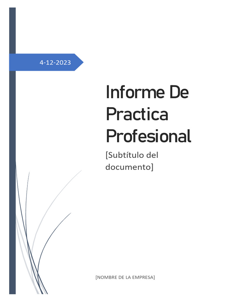 Informe De Practica Profesional Benja 2 Pdf Informática