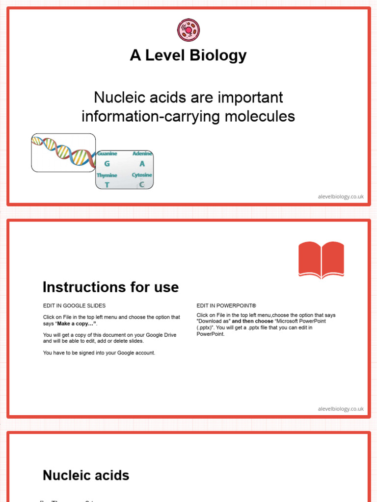 Nucleic Acids Are Important Information-Carrying Molecules | PDF ...