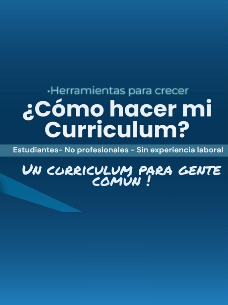 Cartilla CV Funcional 2024 | PDF