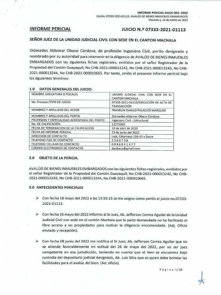 Inform Pericial Juicio N 07333 2021 01113 Pdf