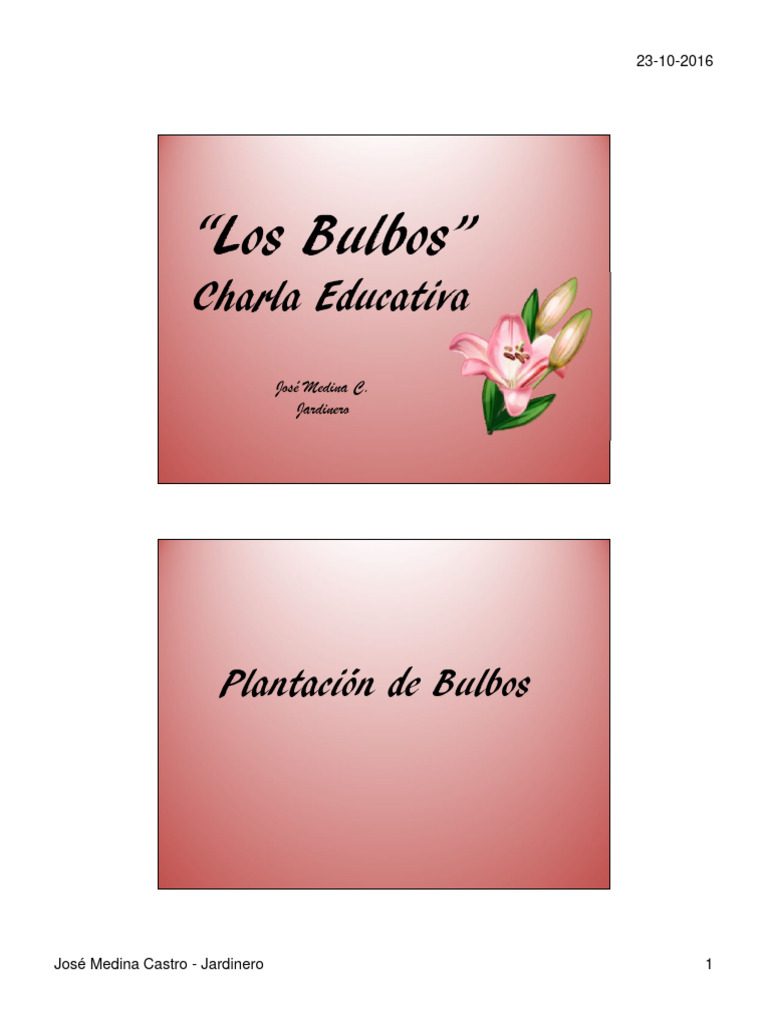 Bulbos | PDF | Lilium | Fertilizante