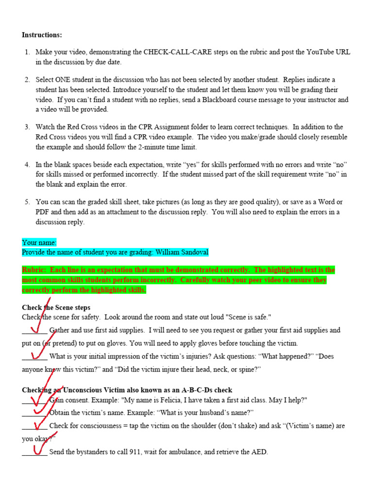 Andrew Flores CPR Peer Review Rubric 1 | PDF | Cardiopulmonary Resuscitation