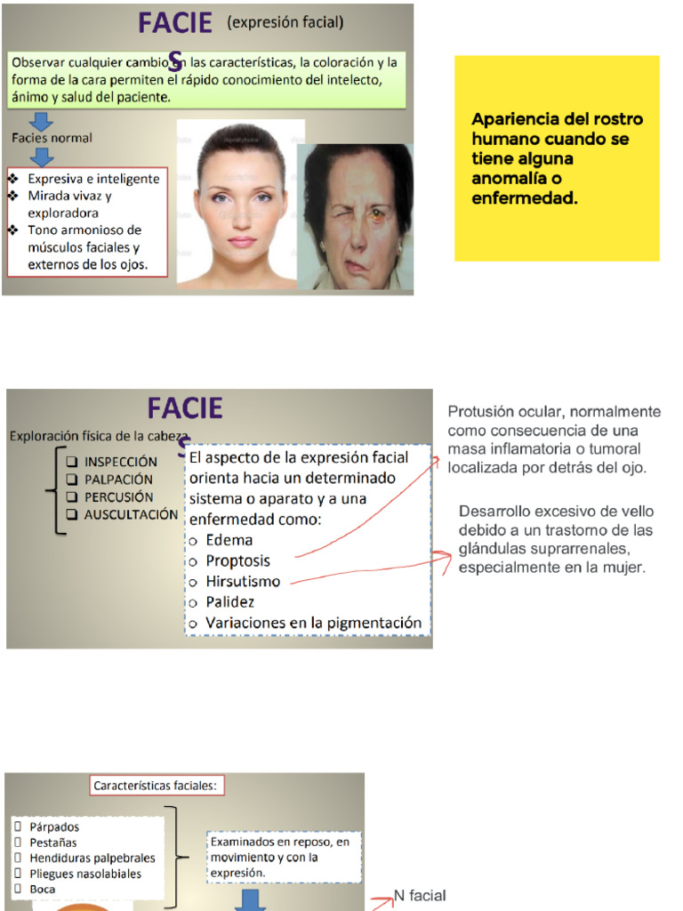 Facies | PDF