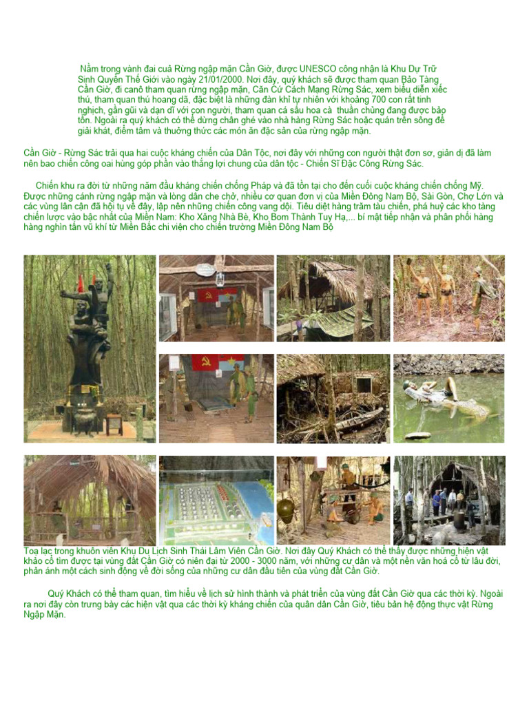 Rung Ngap Man Can Gio | PDF