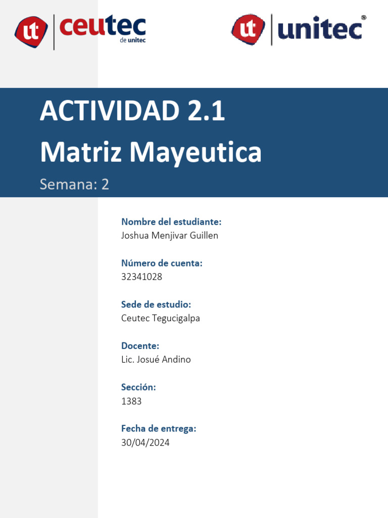 Matriz Mayeutica | PDF