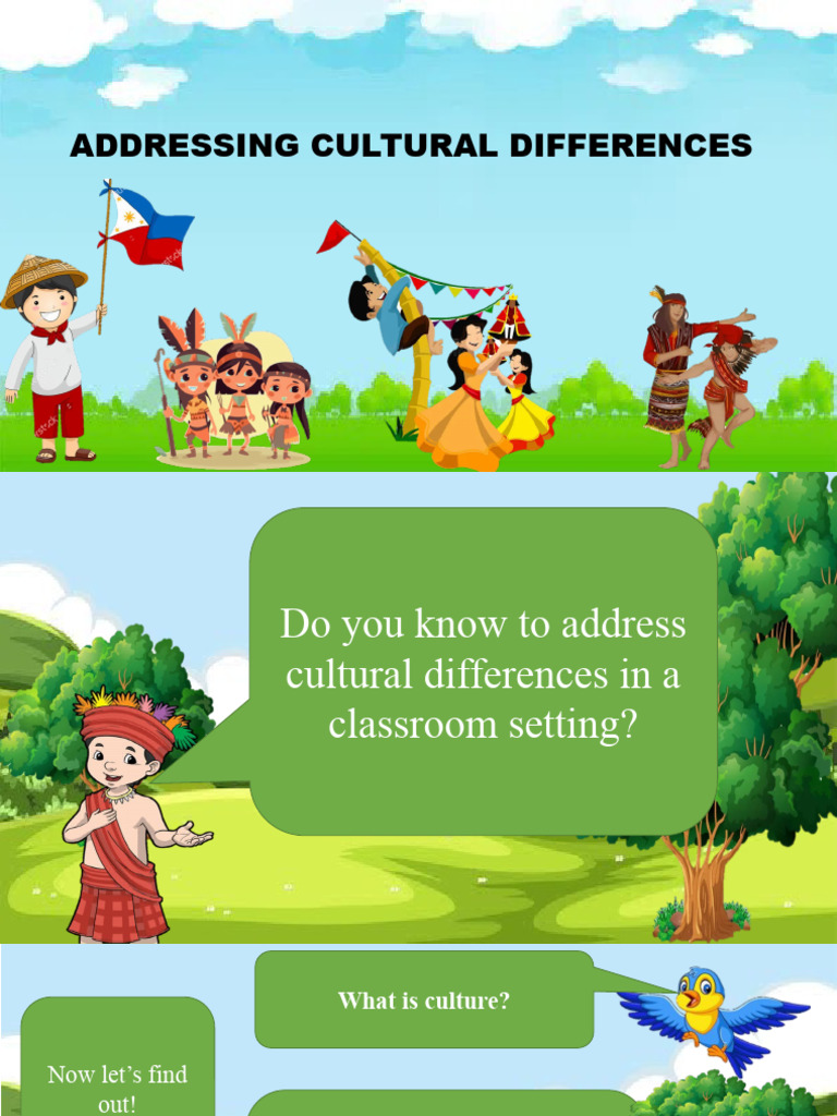 Adressing Cultural Differences | PDF | Lesson Plan | Teachers