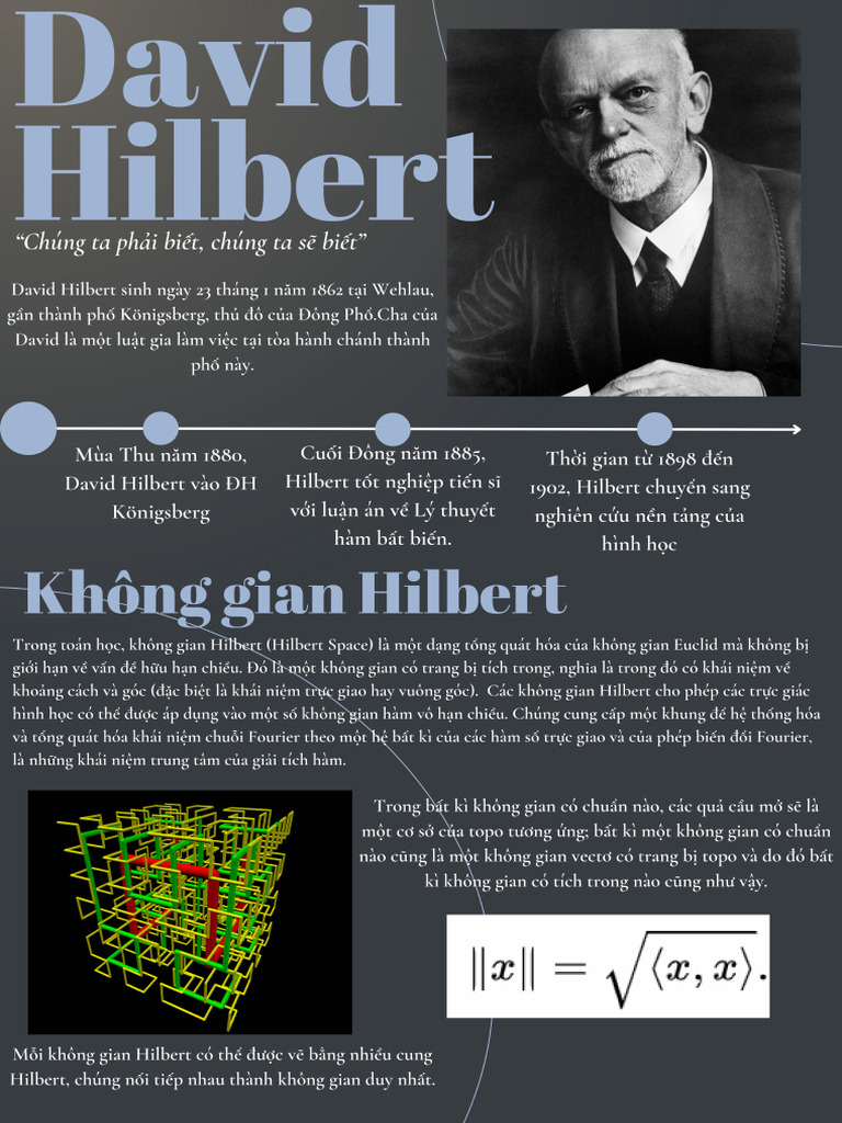 David Hilbert | PDF