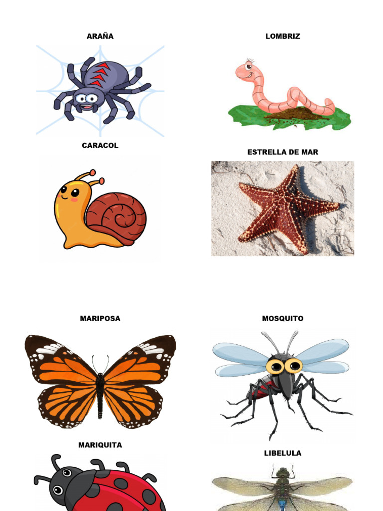 10 Animales Invertebrados 4 Por Hoja | PDF