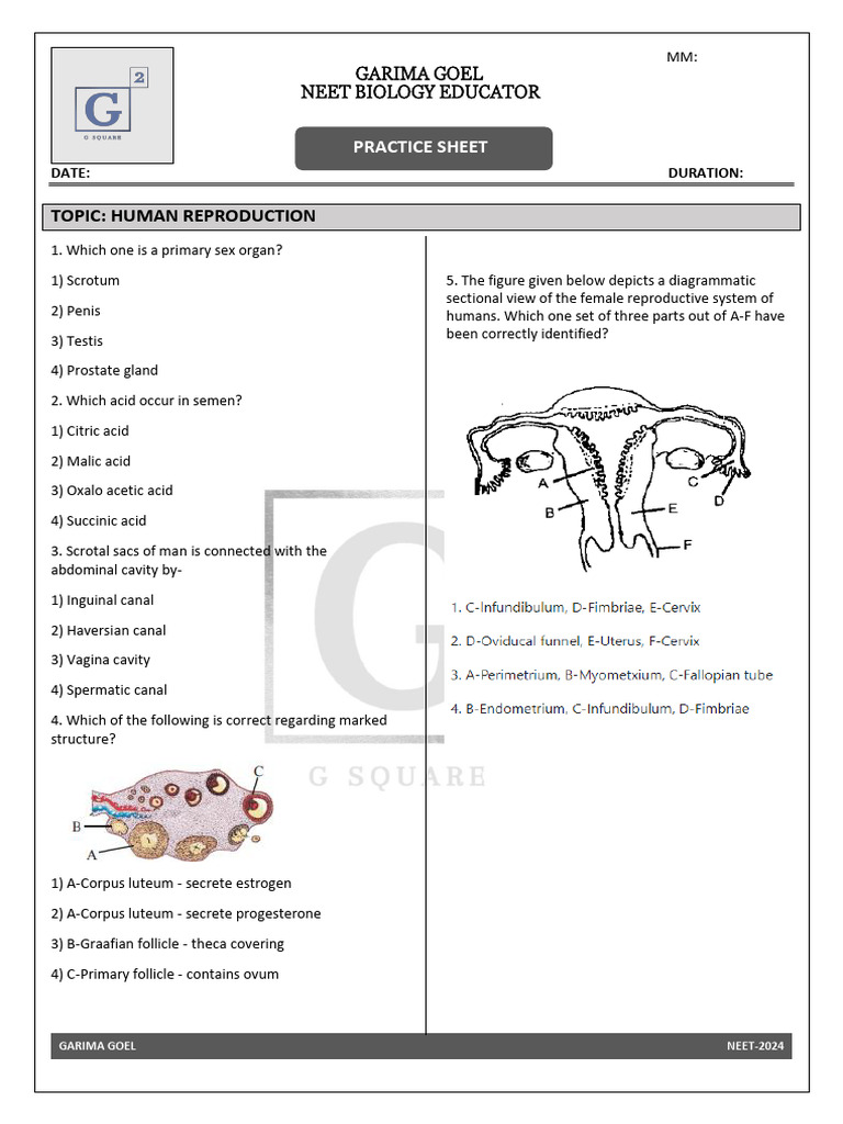 NEET 2024 Human Reproduction Practice Sheet | PDF | Menstrual Cycle | Ovary