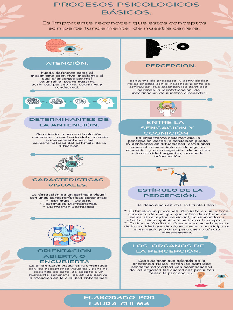 Procesos Psicológicos Básicos | PDF