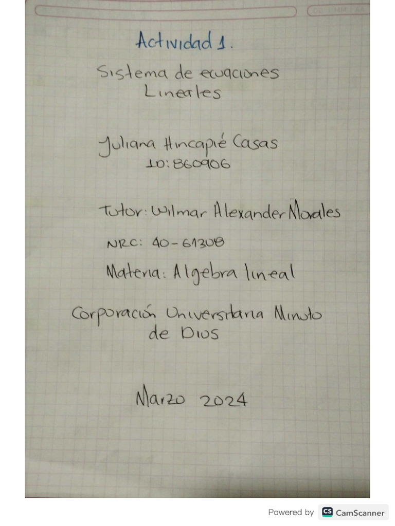 Actividad 1 Sistema de Ecuaciones Lineales | PDF