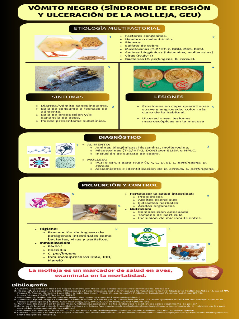 Vómito Negro | PDF | Microbiología | Especialidades Medicas