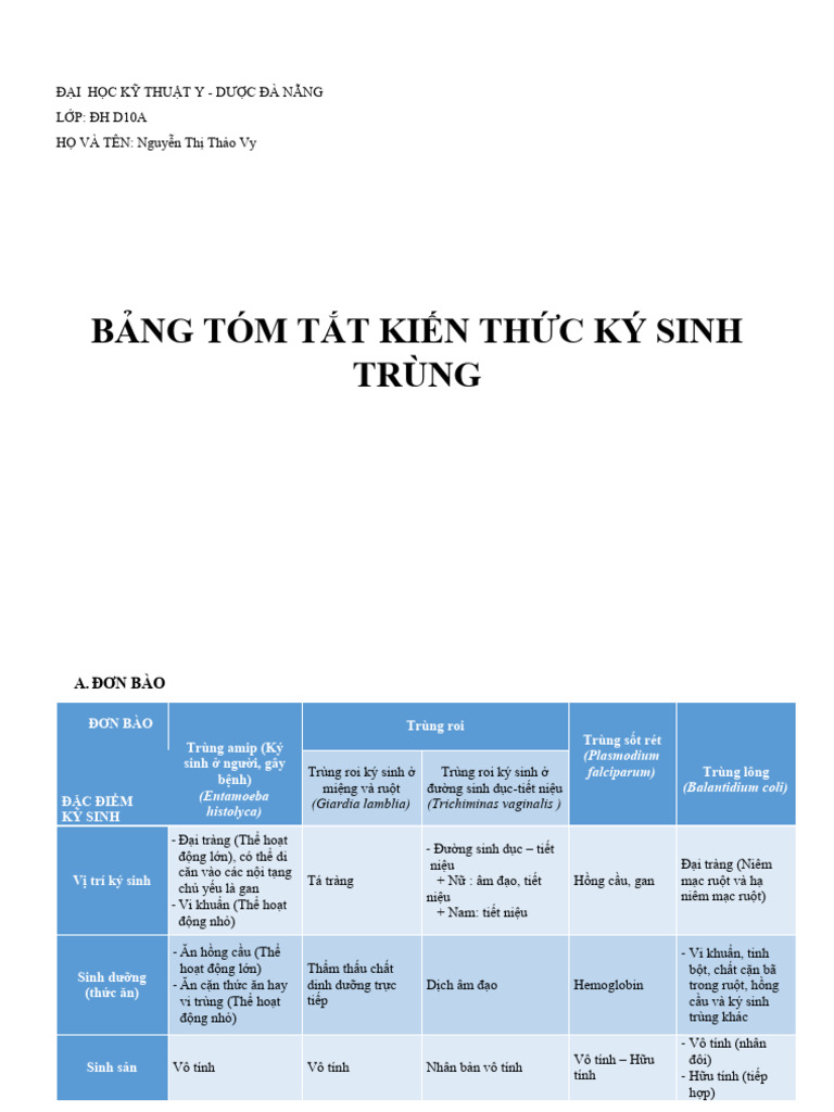 Tổng Hợp Kiến Thức KST 1 | PDF