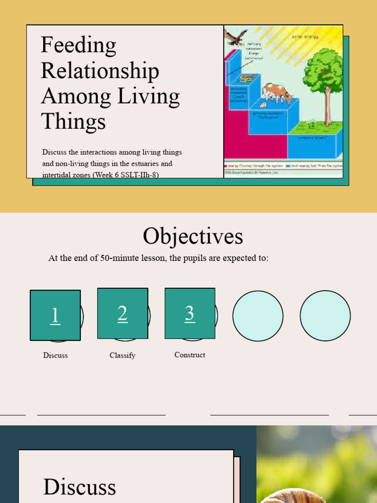 Feeding Relationship Among Living Things | PDF | Herbivore | Foods