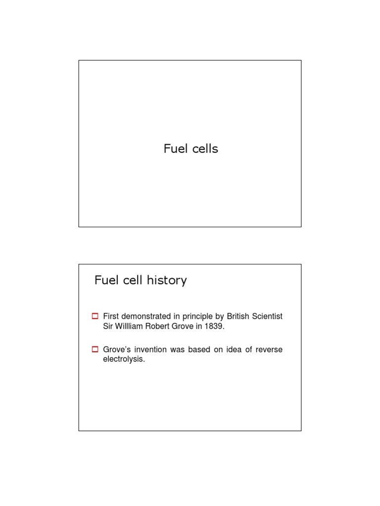 Lecture 8 FuelCells | PDF | Fuel Cell | Proton Exchange Membrane Fuel Cell